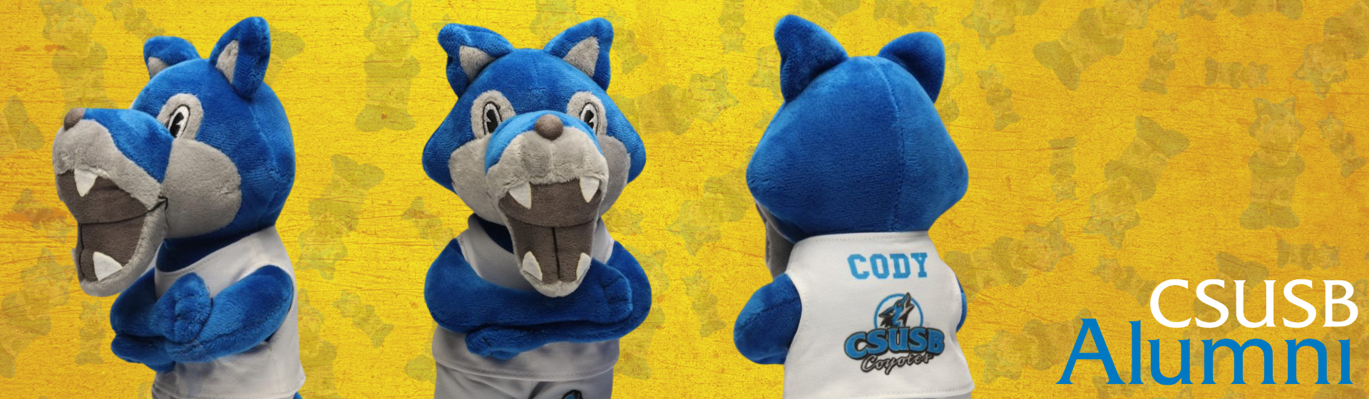 CSUSB - Plush Codys For Sale – Plush Codys For Sale