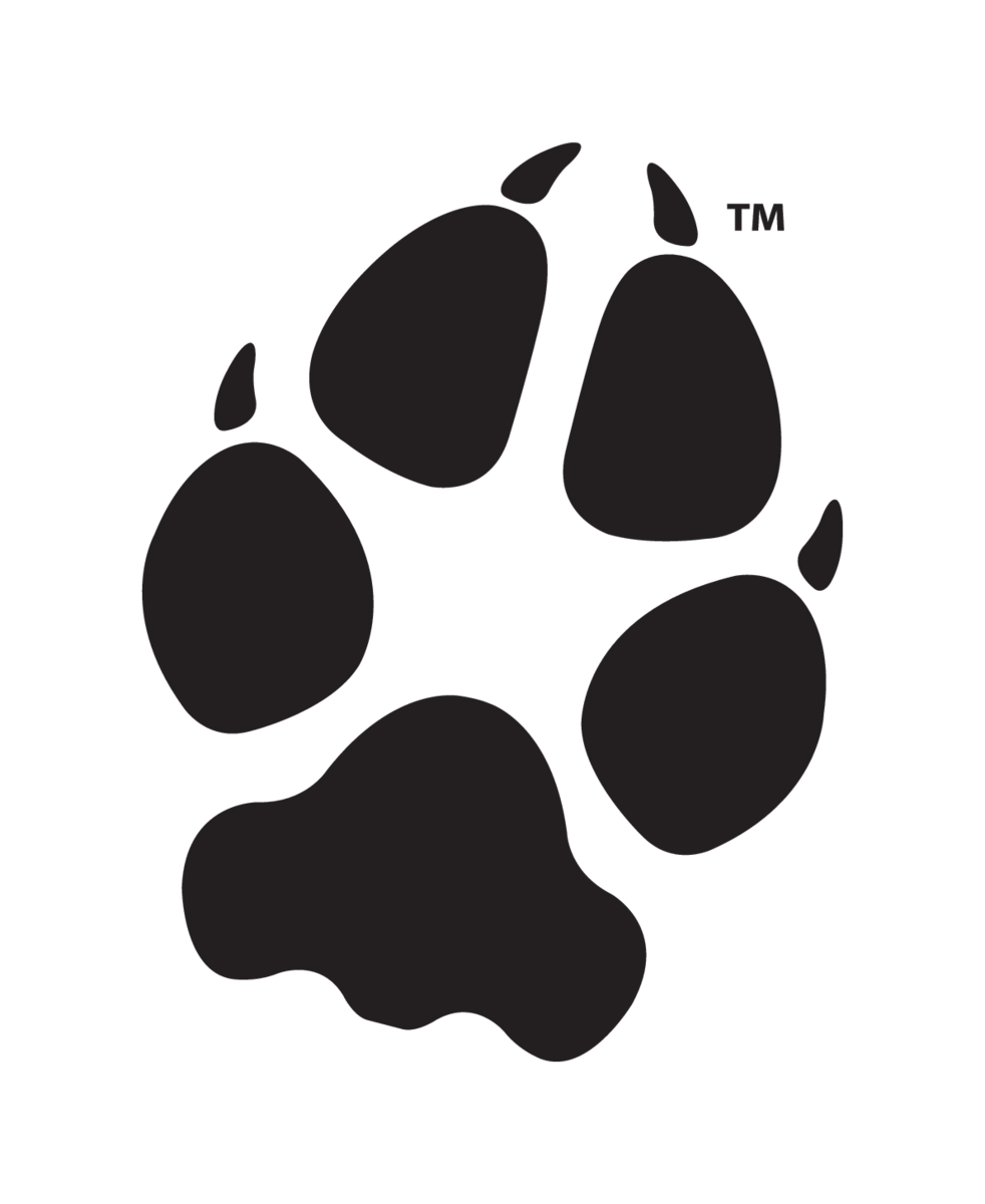 CSUSB - Tile – Buyer Information